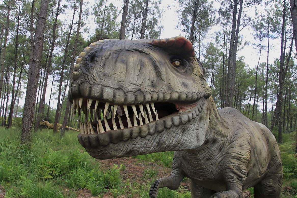 Les dinosaures débarquent à Wattrelos - Roubaix Web